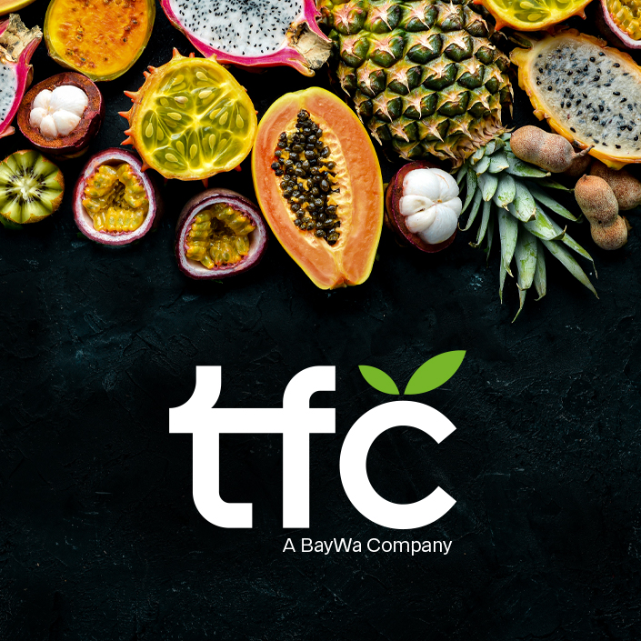 TFC Holland | Ons werk | The Stardusters